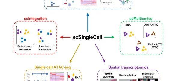 单细胞分析平台 ezSingleCell 教程（1） - 知乎