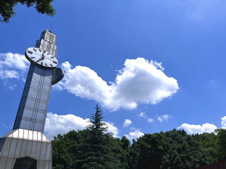 重庆大学环境与生态学院生态学636883考情分析 近三年录取分布、平均分、复录比等上岸情况 知乎