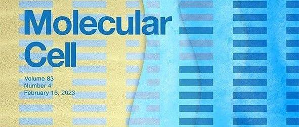 Molecular Cell | 真核生物DNA复制起始 - 知乎