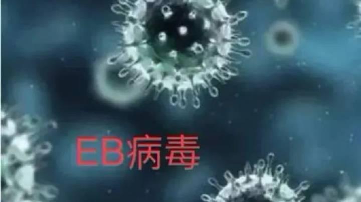EB病毒🦠，如何尽早知道是否是它？ - 知乎