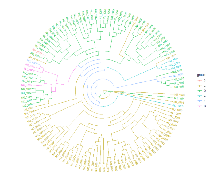 使用ggtree对进化树进行分组美化 - 知乎