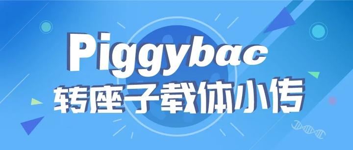 Piggybac转座子载体小传 - 知乎