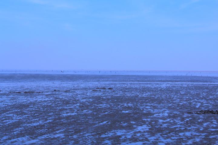 Powergui、Electrical Model、 Simulink Model的Sample Time和固定步长Fixed-Step ...