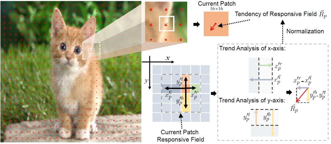 Transformer模型中patch交互的关系，你可以这样理解！ - 知乎