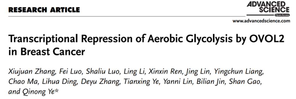 Adv Sci︱叶棋浓团队发现OVOL2对乳腺癌有氧糖酵解转录的抑制作用 - 知乎