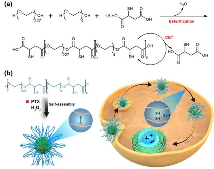 Mal-PEG1/2/3/3.4/4/5/10K-NHS CAS：756525-92-5马来酰亚胺-聚乙二醇-活性酯 - 知乎