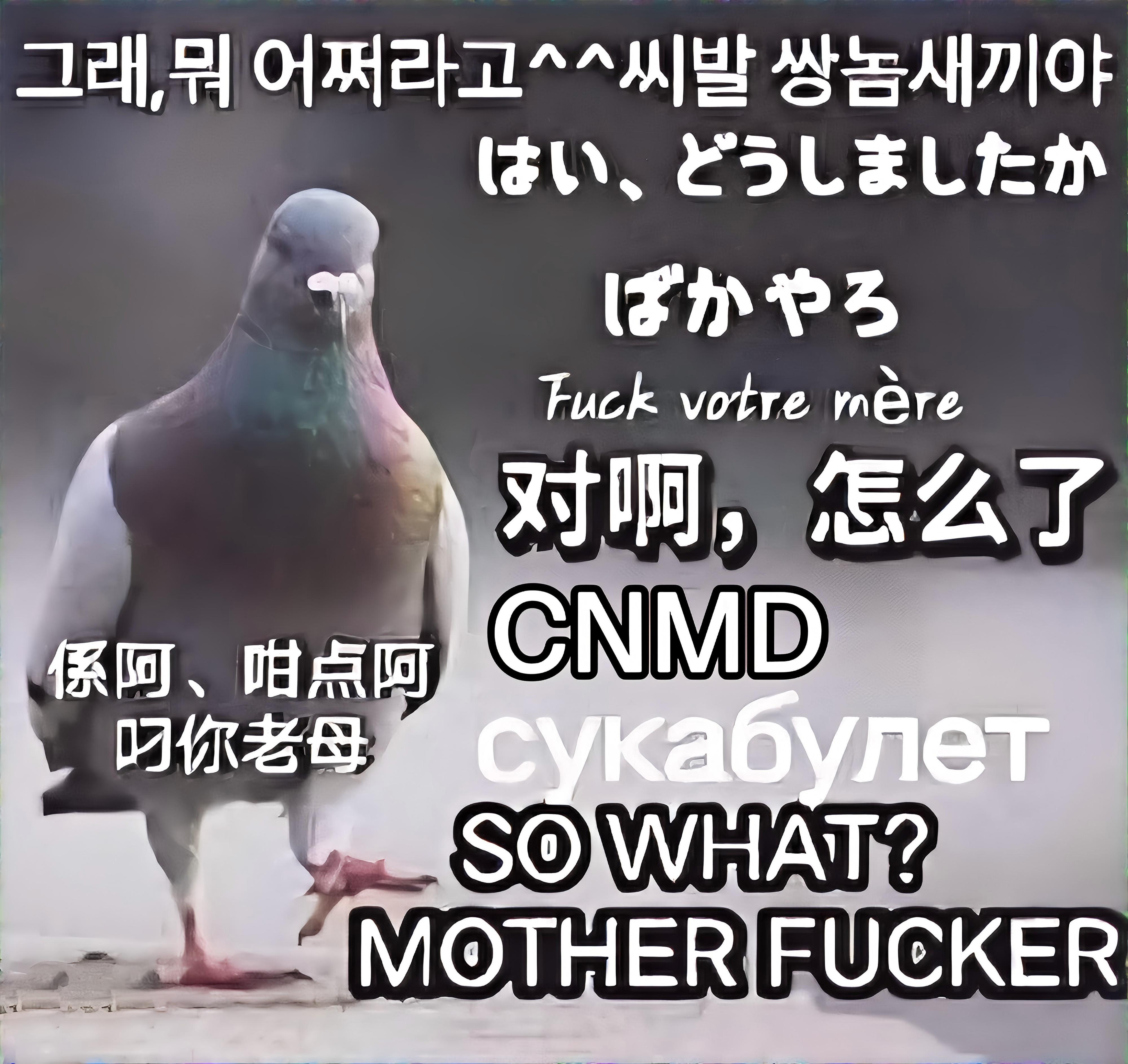 有人知道有一个表情包，一只鸽子在骂对啊，怎么了，cnmd，是什么意思呀？ - 知乎