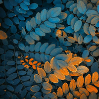 AI之逻辑推理篇：斑马难题 - 知乎