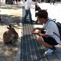 [文献精读]MACSE:考虑帧移和终止密码子的编码序列的多序列比对工具 - 知乎