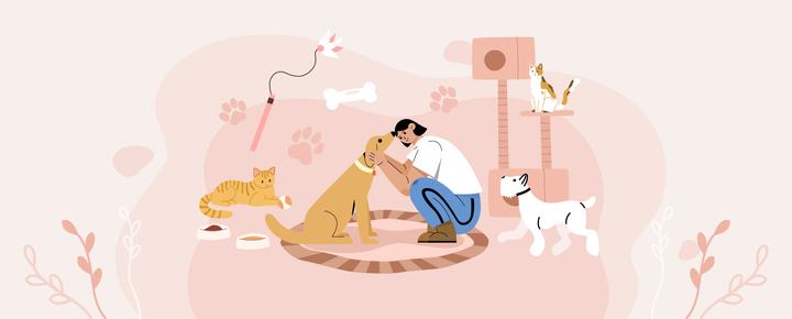 美国宠物保险 (Pet Insurance) 全攻略 (理赔范围，价格因素，购买注意事项等) - 知乎