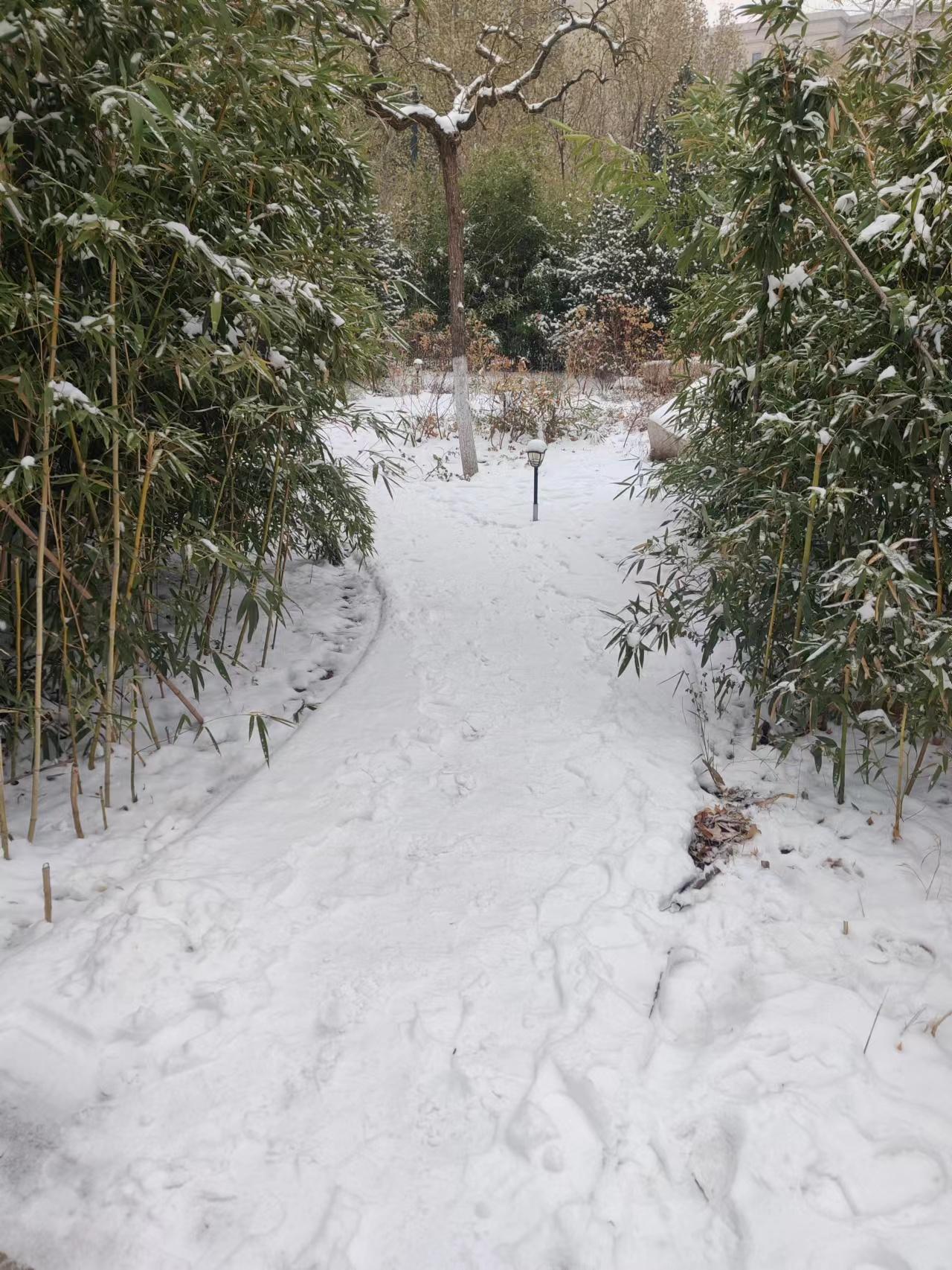 MyBatis-Plus（一）：根据指定字段更新或插入 - 知乎