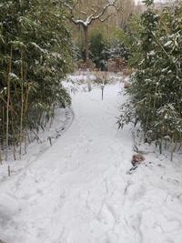 MyBatis-Plus（一）：根据指定字段更新或插入 - 知乎