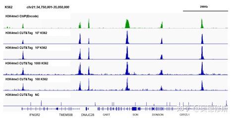CUT&Tag3.0——让Chip-seq再简单一点！ - 知乎