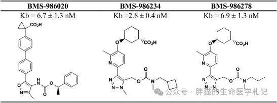 前沿技术｜中性粒细胞在免疫中的至关重要性 - 知乎
