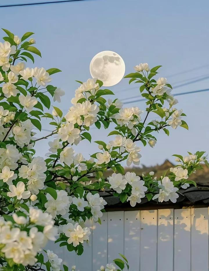 FISH实验步骤分享--18S rRNA荧光原位杂交实验 - 知乎