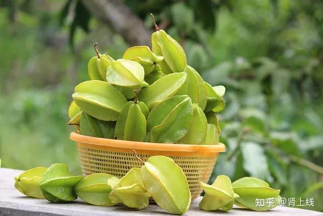 对肾脏有害的16种食物，你还在经常吃吗？ - 知乎