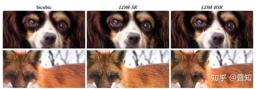 stable diffusion原始论文翻译（LDM latent diffusion model） - 知乎