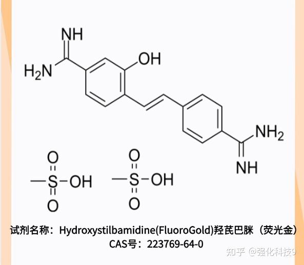 Hydroxystilbamidine(FluoroGold)：是一种阳离子染料 - 知乎