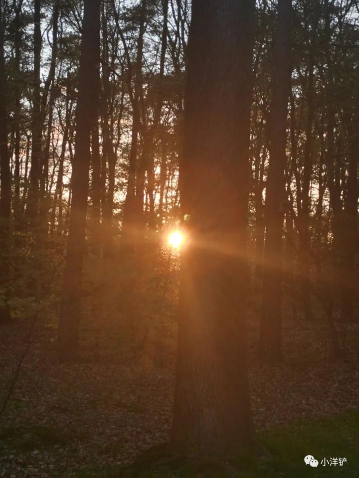 机器学习圣经（简化版）--Introduction to Statistical Learning with R - 知乎