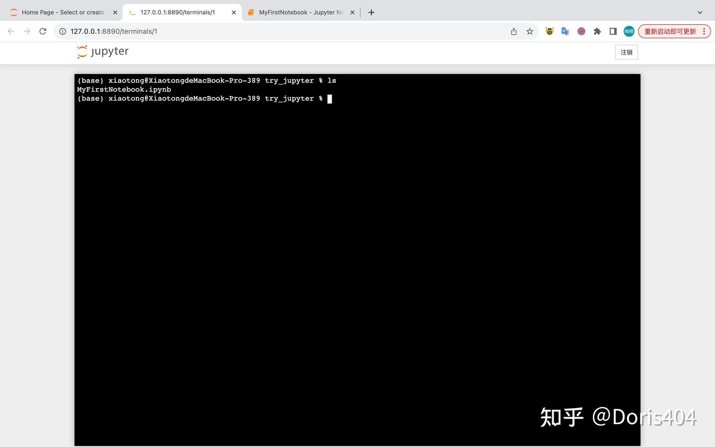 Jupyter Notebook使用攻略：看这一篇绝对够用 ️ - 知乎