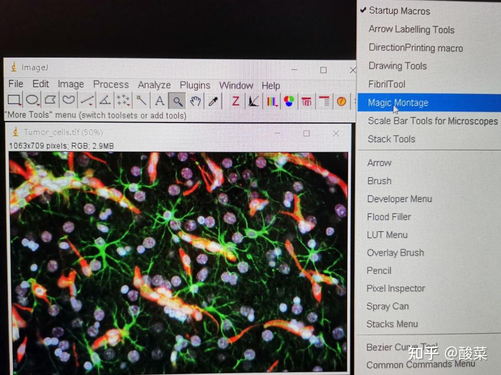 老司机带你使用ImageJ高效分析图片 - 知乎