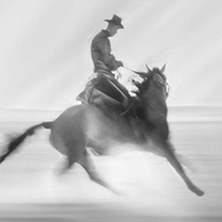 Rust中 #[cfg()]是什么？怎么理解 - 知乎