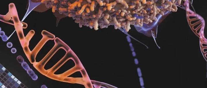 Nat Commun | 泛癌TME单细胞注释新工具——scATOMIC，可准确预测转移性肿瘤的原发组织 - 知乎