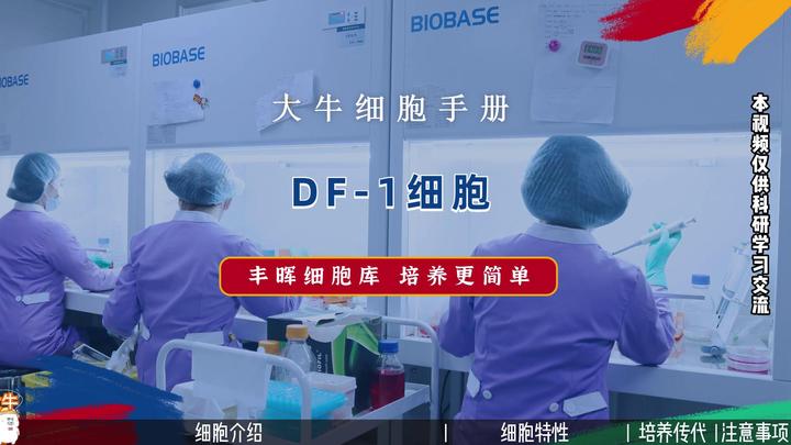 DF-1细胞培养，鸡胚成纤维细胞培养攻略-丰晖生物 - 知乎