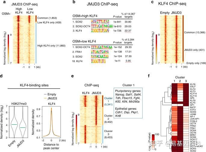 一文讲明白ChIP-seq：高分文章里为什么做ChIP-seq? - 知乎