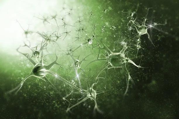 SCI论文官网：NEUROLOGICAL SCIENCES - 知乎