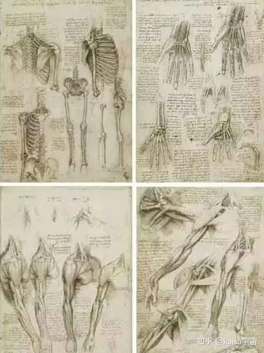 达芬奇为什么被称为人类史上的全能天才？ - 知乎