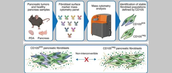 Cancer Cell | CyTOF绘制抗肿瘤免疫的成纤维细胞免疫图谱 - 知乎