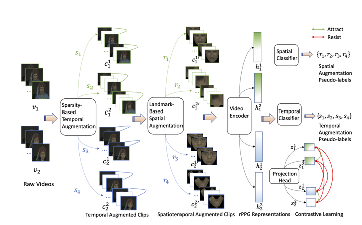 【rPPG论文阅读】Self-supervised Representation Learning Framework for Remote Physiological Measurement ...