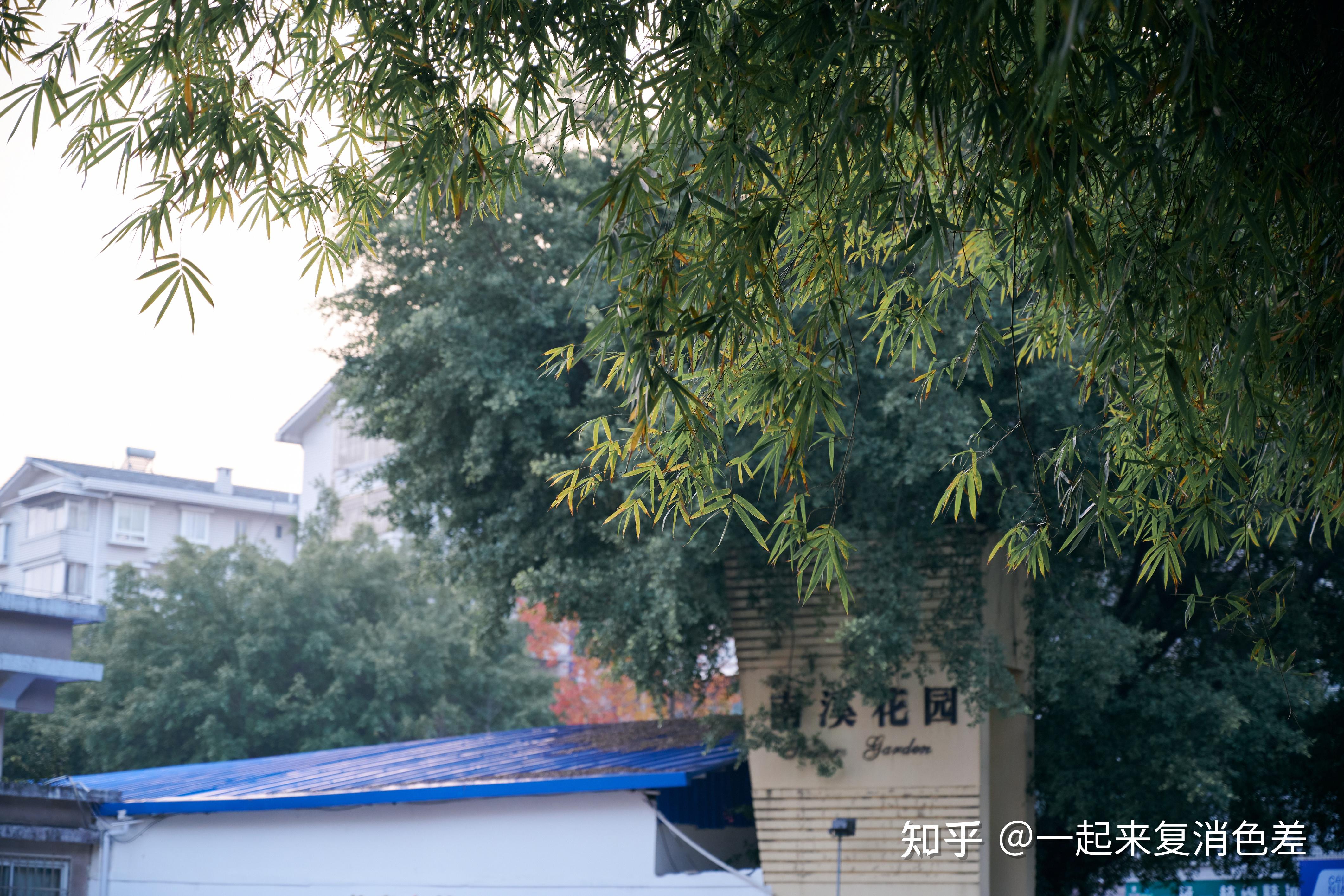 尼康Z6，一定一变选Z24-70 F4还是Z24-120 F4？ - 知乎