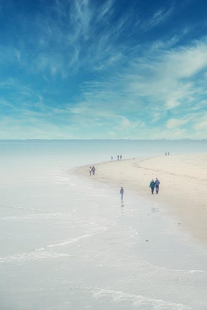 CinCor 介绍 Baxdrostat 的 1 期数据 - 知乎