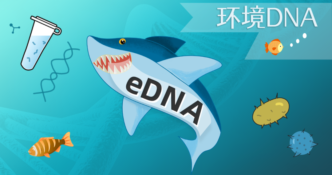 国之重器聚焦组学新热点， eDNA领航生态新科研 - 知乎