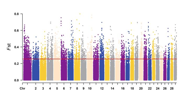 群体遗传研究——选择信号 - 知乎
