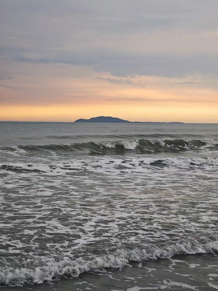 Cytovale公司的脓毒症快速检测仪Intellisep被公布其阴性预测值达97.5% - 知乎