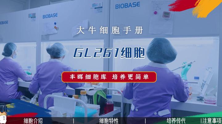 GL261细胞培养，小鼠胶质瘤细胞培养攻略-丰晖生物 - 知乎