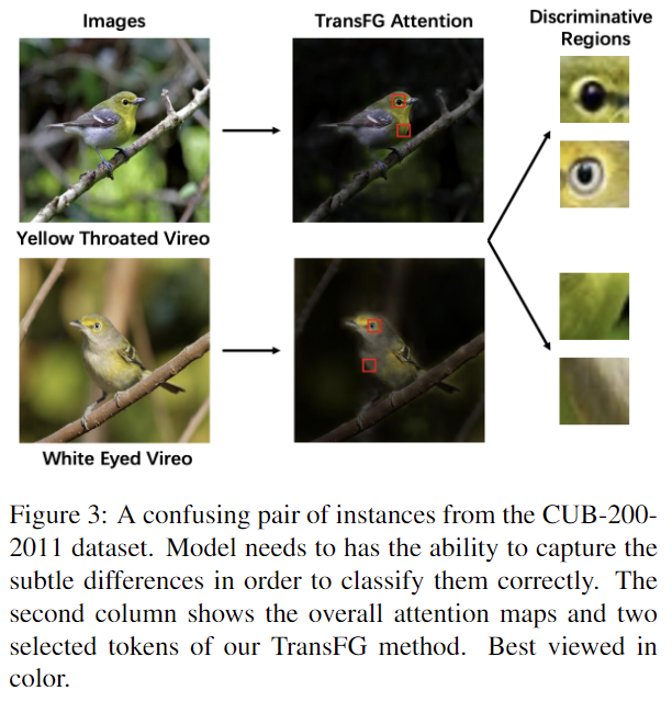 【论文阅读】《TransFG: A Transformer Architecture for Fine-grained Recognition ...