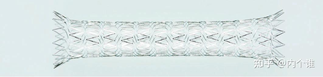 【行业资讯】Neuroguard IEP颈动脉支架审评报告 - 知乎