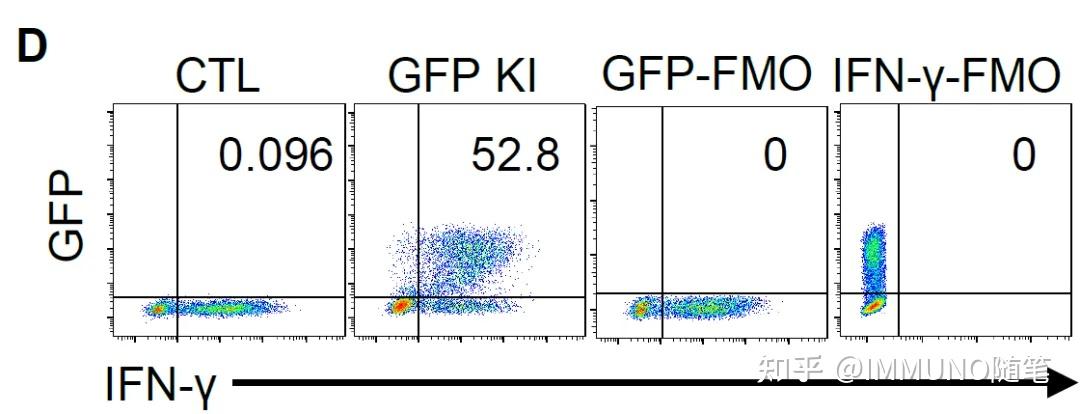 Molecular Therapy：有趣的CAR设计，巧用内源IFN-γ启动子生成TRUCK - 知乎