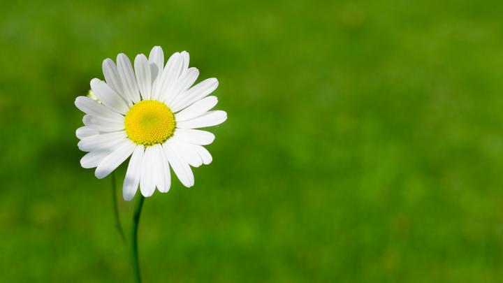 基于Python flask的岗位招聘数据分析系统，应用Python、Flask框架、Pyecharts、Wordcloud等技术 - 知乎