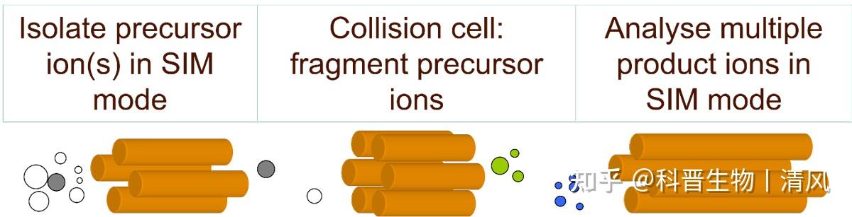 GC/MS和GC/MS/MS的区别是什么？ - 知乎