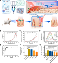 中科院长春应化所丁建勋团队《Bioact. Mater.》综述：生物材料“破防”牙周炎“膜”法 - 知乎