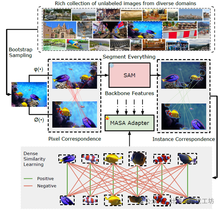 CVPR'24开源 | MASA：万能匹配一切、跟踪一切！ - 知乎