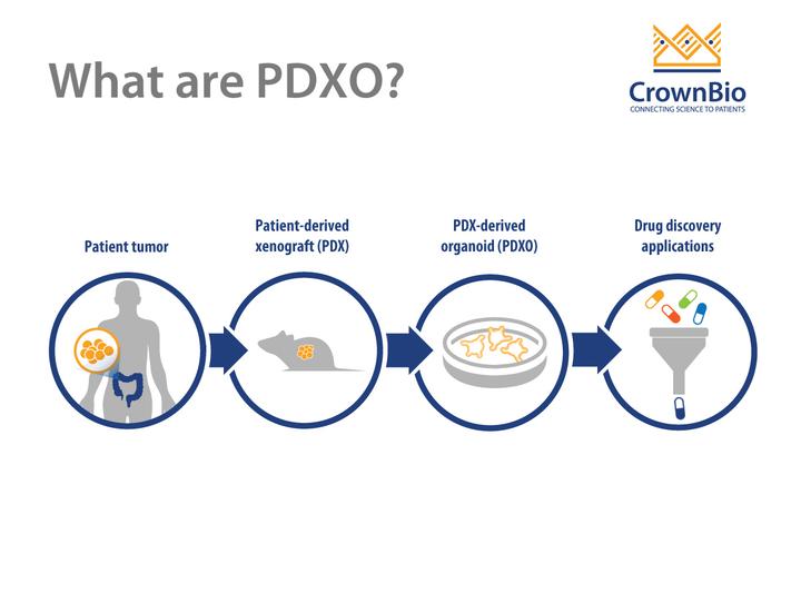 PDX和PDO我知道了，什么是PDXO？ - 知乎
