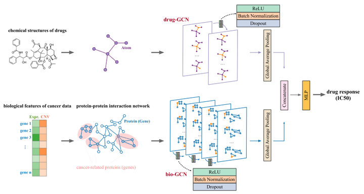 论文理解DualGCN: a dual graph convolutional network model to predict cancer drug response - 知乎