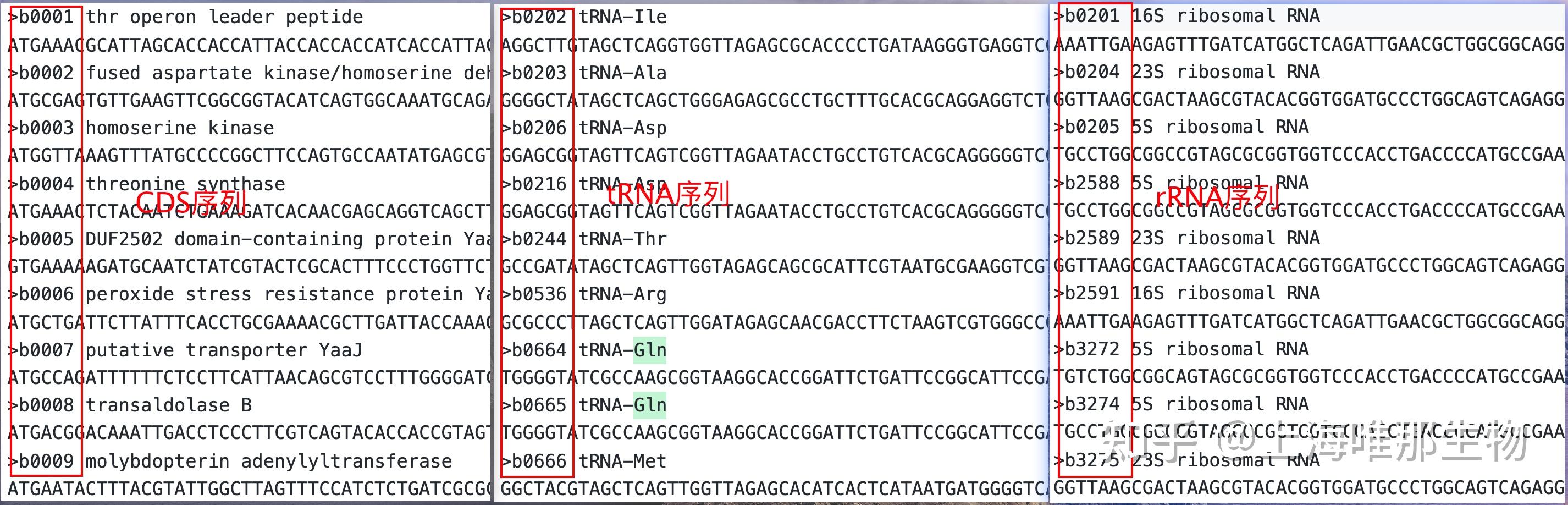 【脚本】从gbk文件中提取核苷酸序列以及注释信息 - 知乎