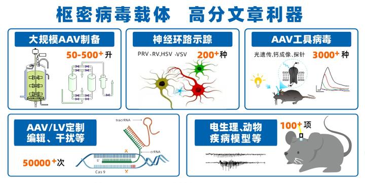 去猎食还是被猎食，一条神经环路抉择的两难《文献解读》BNST-PBN的神经环路改变威胁评估并能调节摄食行为 - 知乎